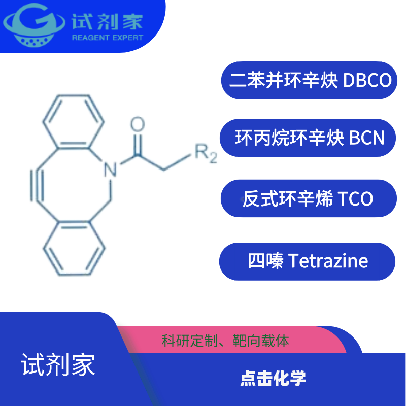 点击化学-双硫键-聚乙二醇3-生物素 DBCO-SS-PEG3-Biotin_点击化学_常见产品_试剂家