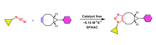 四大常见点击化学反应类型简介DBCO/BCN/TZ/TCO_新品上市_资讯信息_试剂家